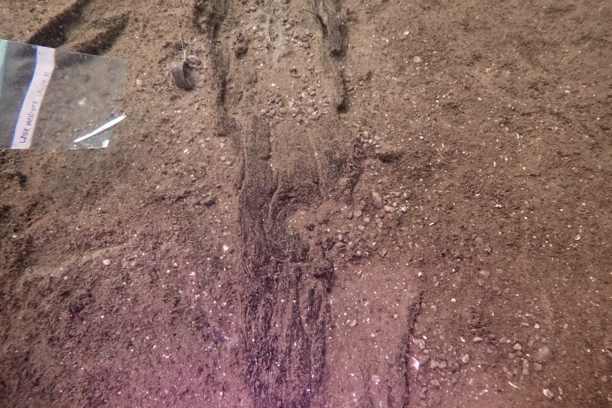 Wisconsin archaeologists identify 16 ancient canoes in a prehistoric ...