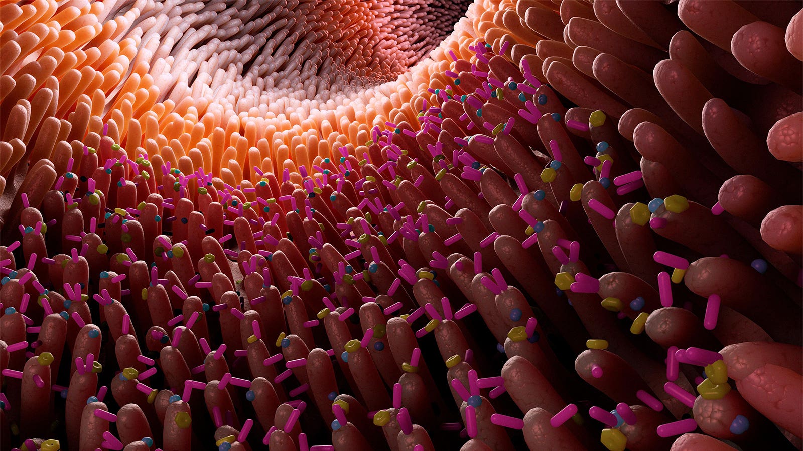 Gout and the Gut Microbiome