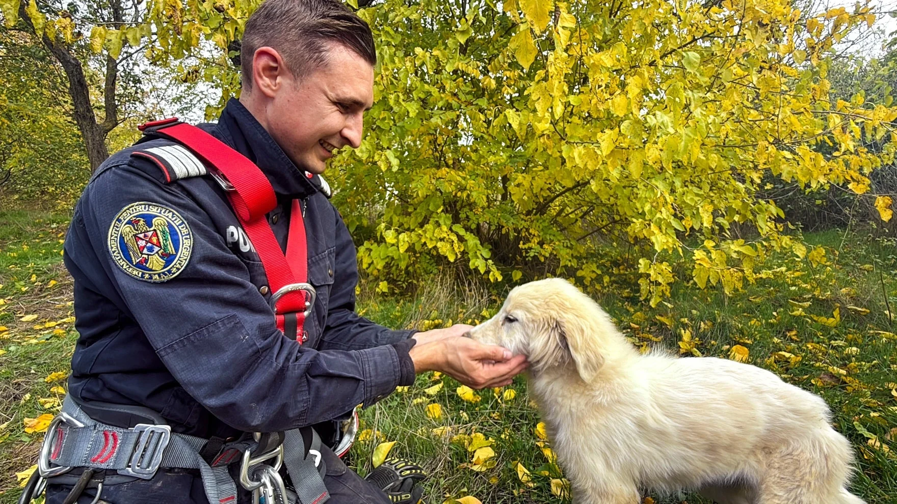 Watch: Puppy rescued in Romania after falling into a well