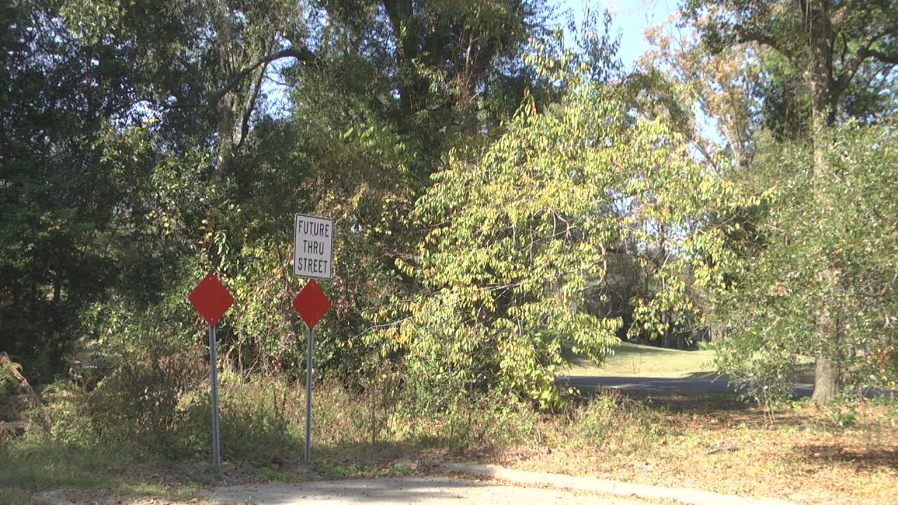 Gainesville wildlife area could be site of new University of Florida ...