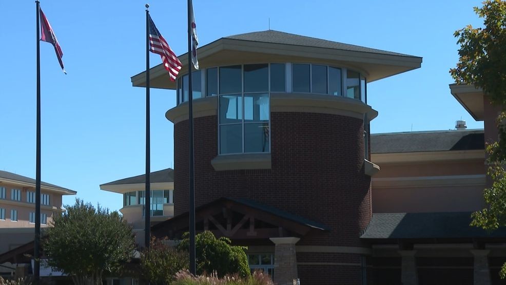 City to create MeadowView task force