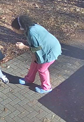 Woman accused of trying to abduct 3-year-old from Chesterfield library