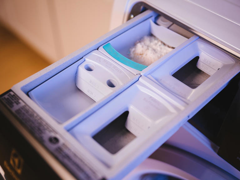 That terrible stench in your washing machine is probably mold. Here's ...