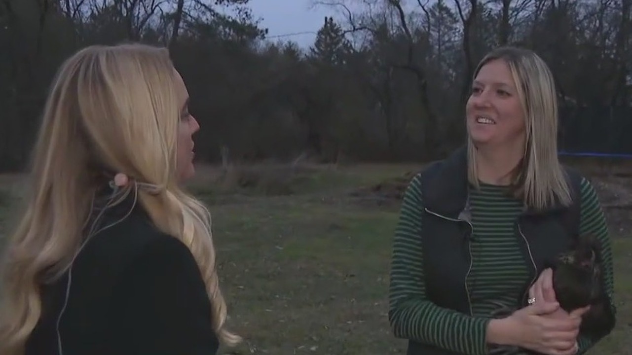 Pleasant Prairie backyard chicken hearing