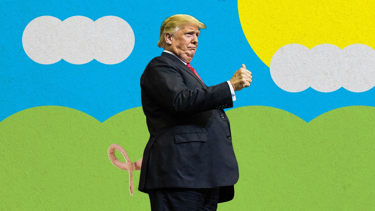 ‘Quiet, Piggy’: Trump’s viral insult has already become an anti-MAGA ...