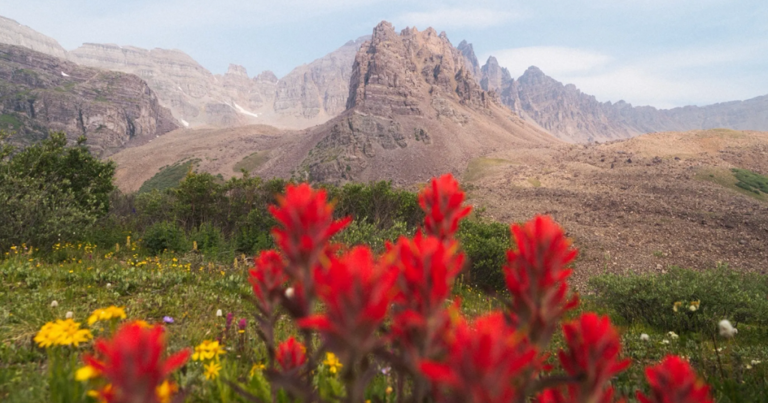The Iconic Trail in Colorado Everyone Should Hike Once in Their Lifetime