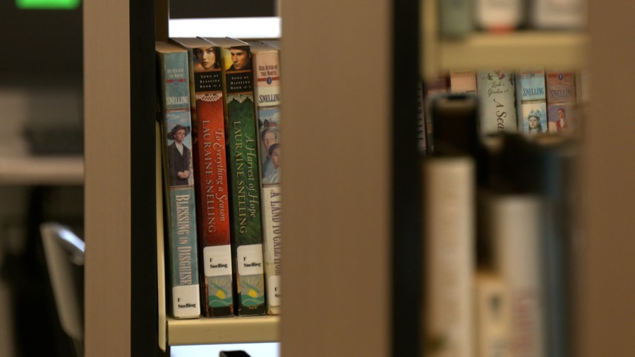 Centre Hall Library hopes to start expansion project in spring with ...