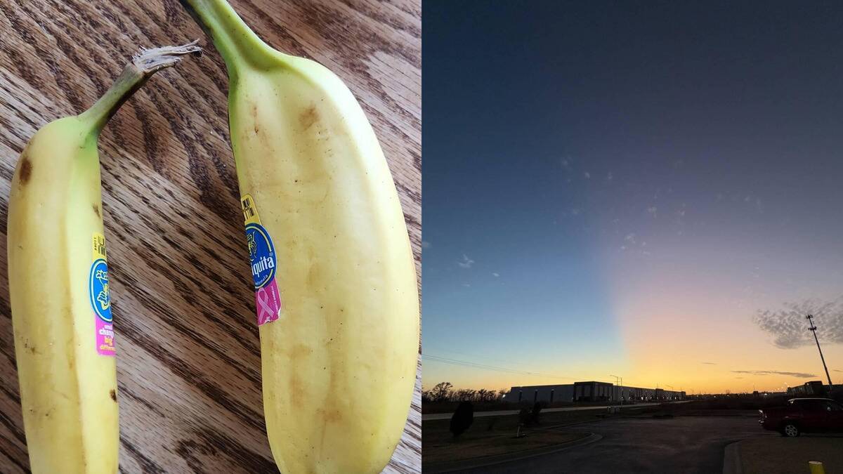 Accidental Finds in Everyday Moments