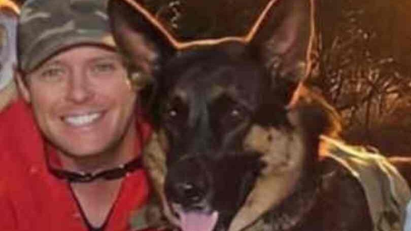 Man charged over allegedly abandoning Arnie the German shepherd in car ...