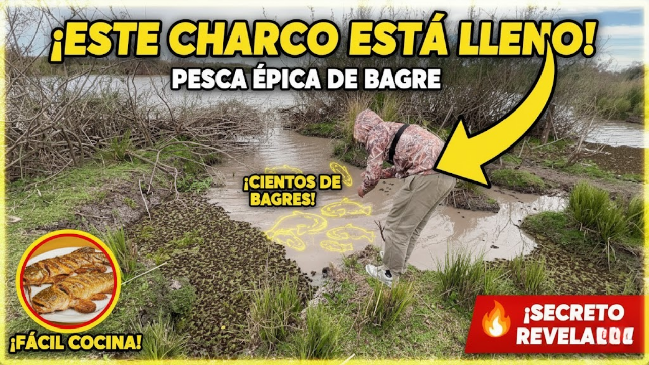 Este Charco Está Lleno de Bagres: Pesca, Cocina, Naturaleza y ...