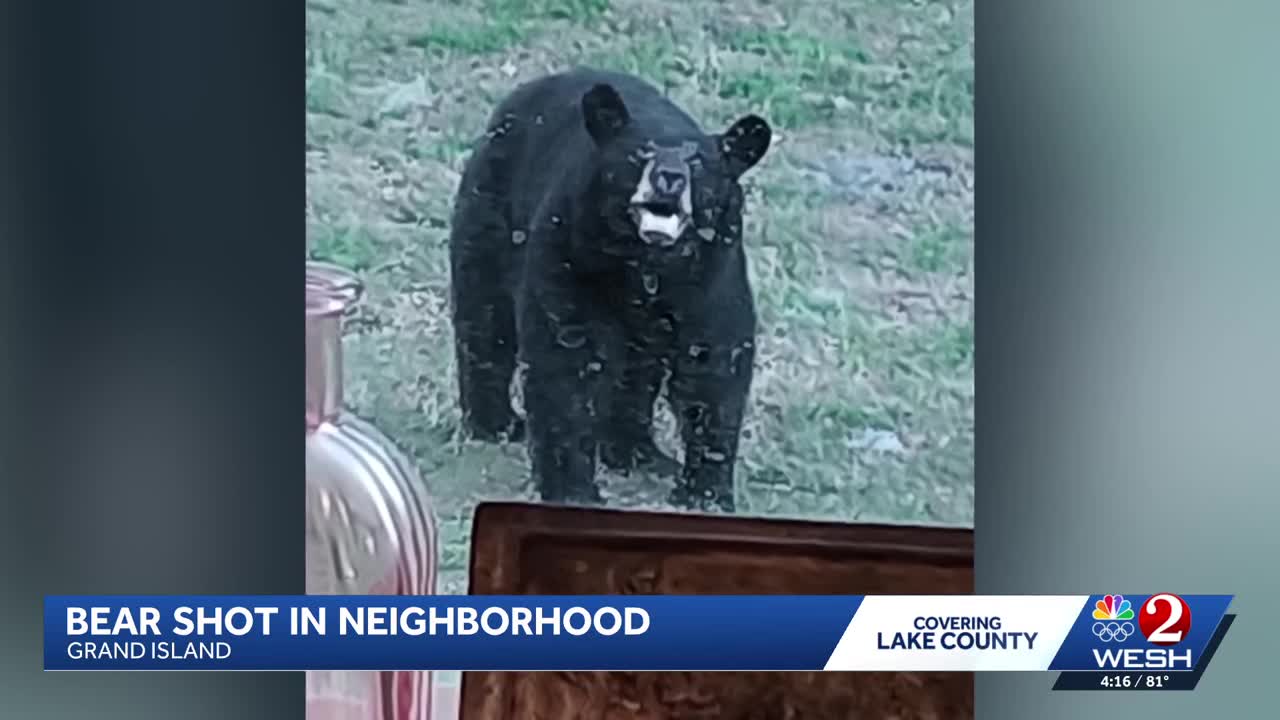 Neighbors in mourning after man shot, killed bear in Grand Island