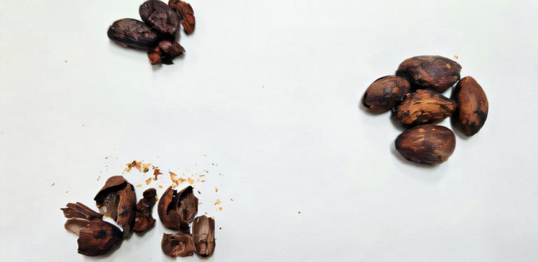 'Chocolate-flavored' honey created using cocoa bean shells