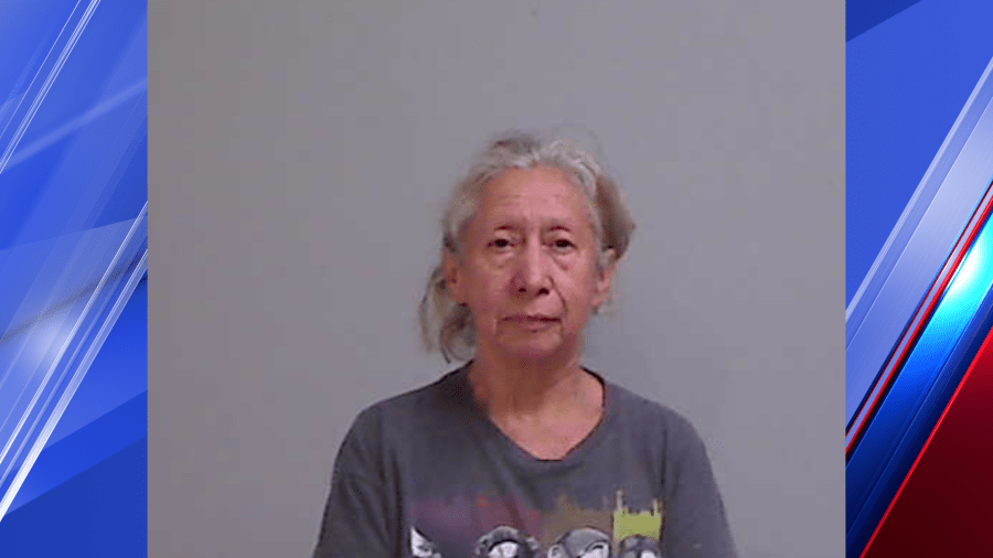Woman, 71, charged after 6 dead dogs found at Mission home