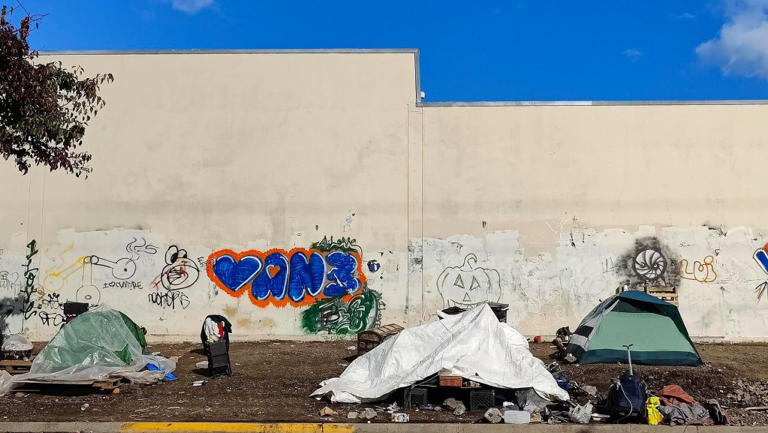 Napa researcher leads global push for better homelessness data, county ...