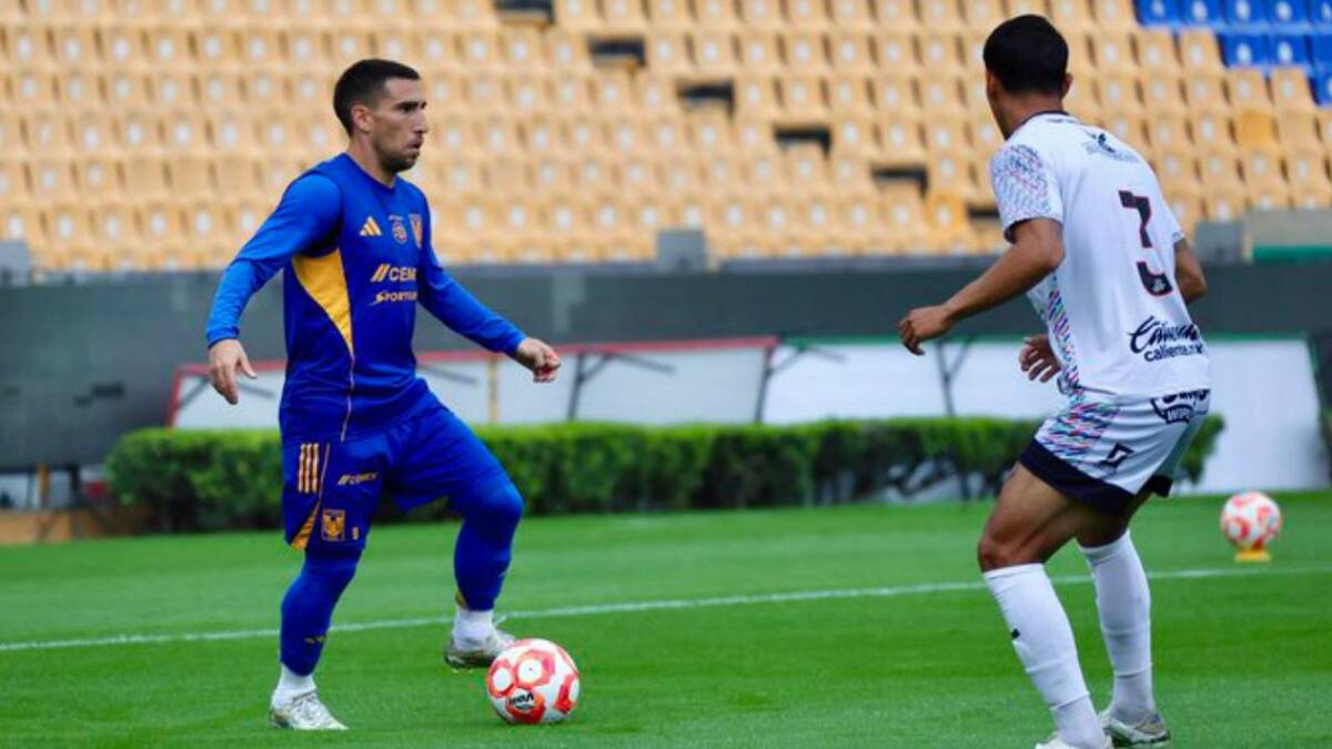 Resumen-del-partido-Tigres-vs-Alebrijes-rumbo-a-la-Liguilla