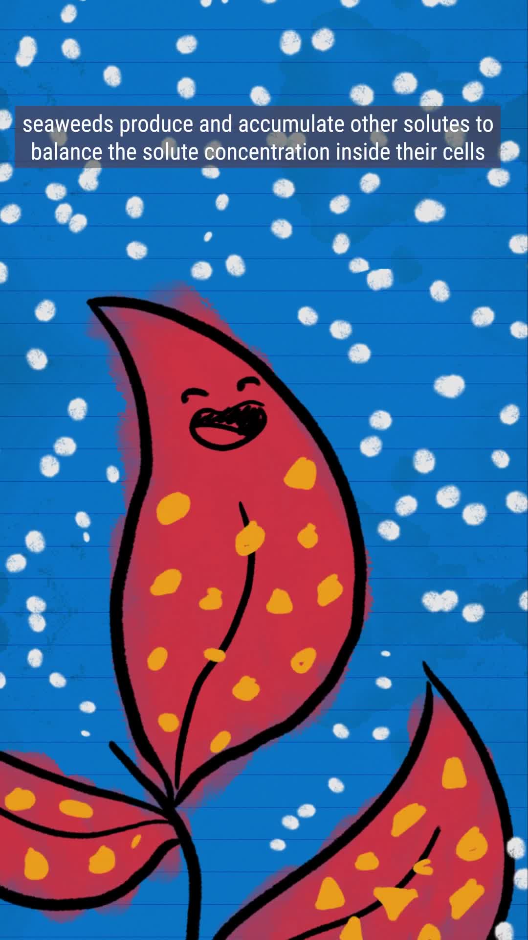 Why Seaweed is an Umami Powerhouse