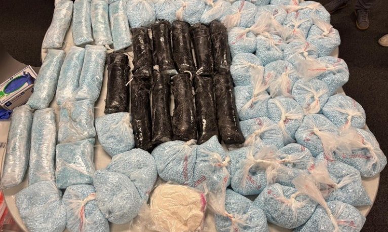 628,000 pills with drug used to tranquilize large animals seized in LA ...