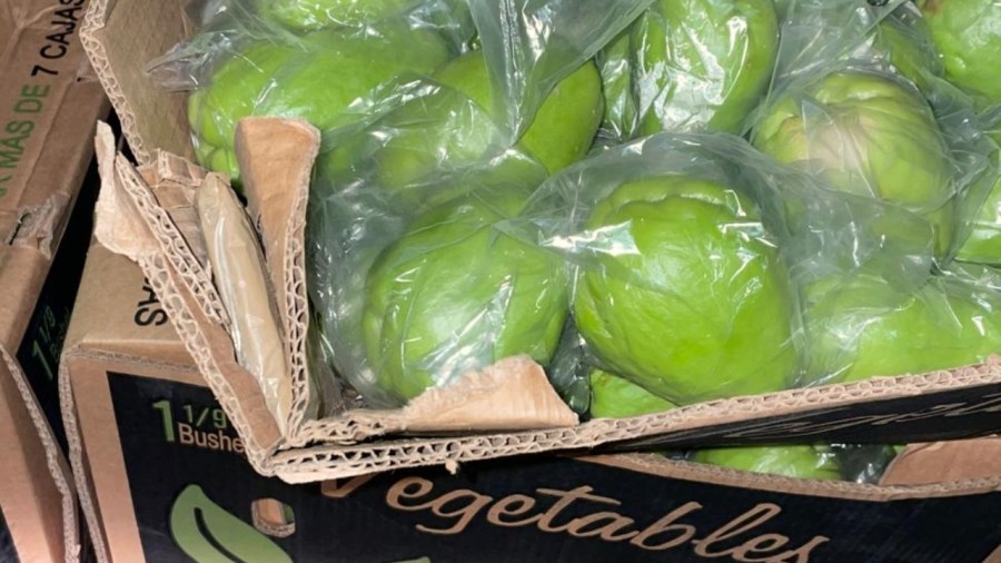 15 indicted, including alleged leader, in ‘largest meth seizure in ...