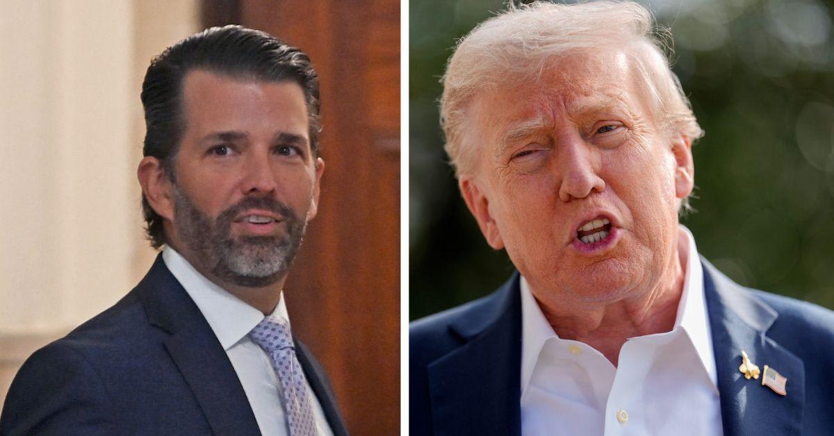 Donald Trump Jr. Defends Daddy Donald Over Jeffrey Epstein Scandal ...