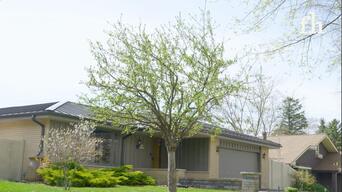 How to Prune a Tree