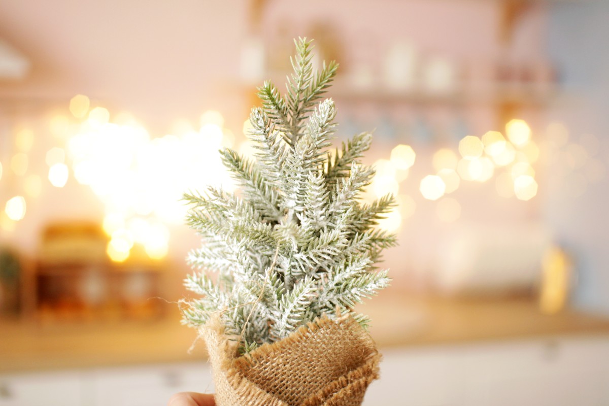 Not Sure What to Do With Food-Themed Ornaments? Try Decorating a ...