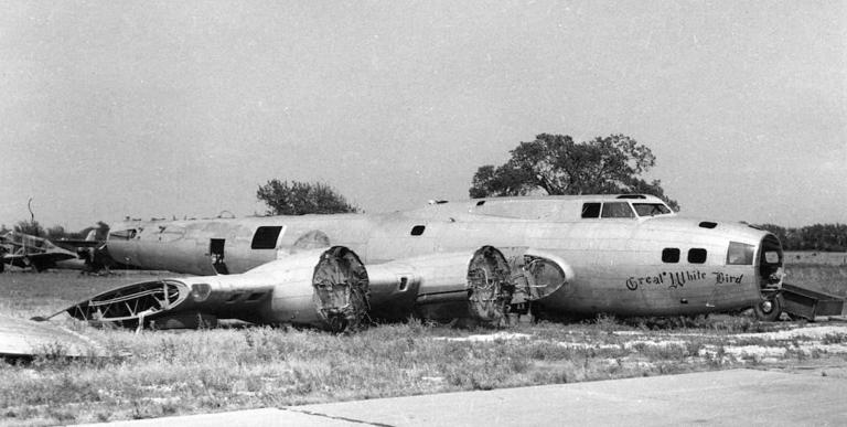 Randy's Warbird Profiles: Boeing B-17F Flying Fortress, s/n 42-29782