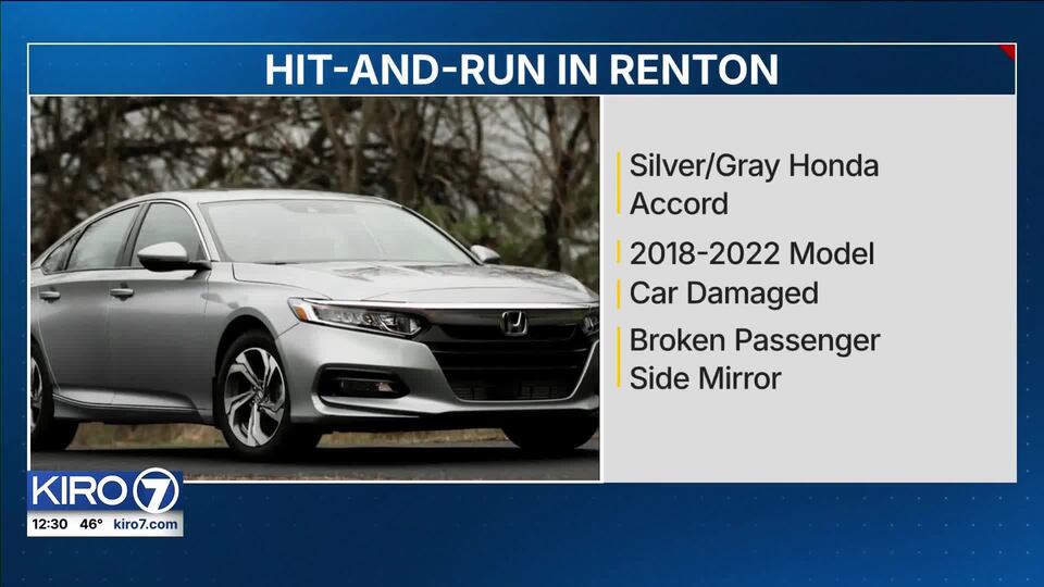 VIDEO: WSP looking for hit and run driver