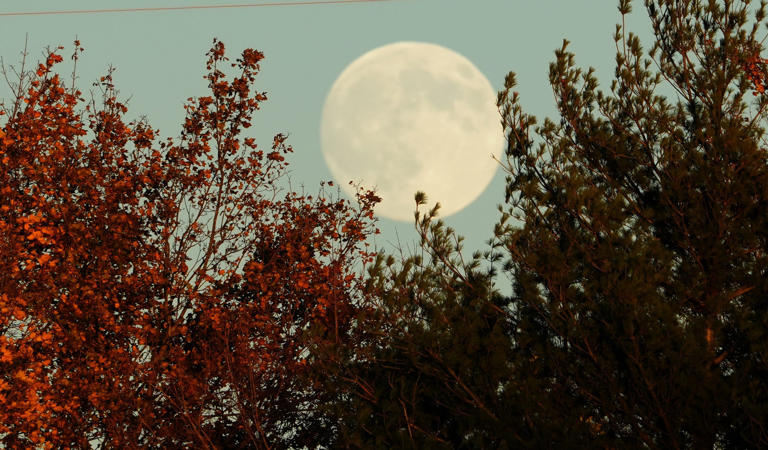 When is the next full moon? Here's the full 2026 schedule for Louisville