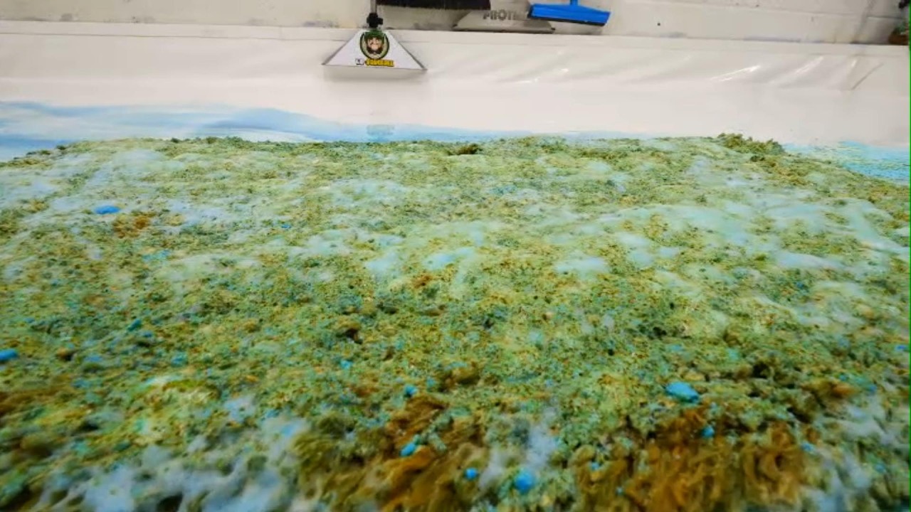 I watched this foam magic clean my carpet! ASMR