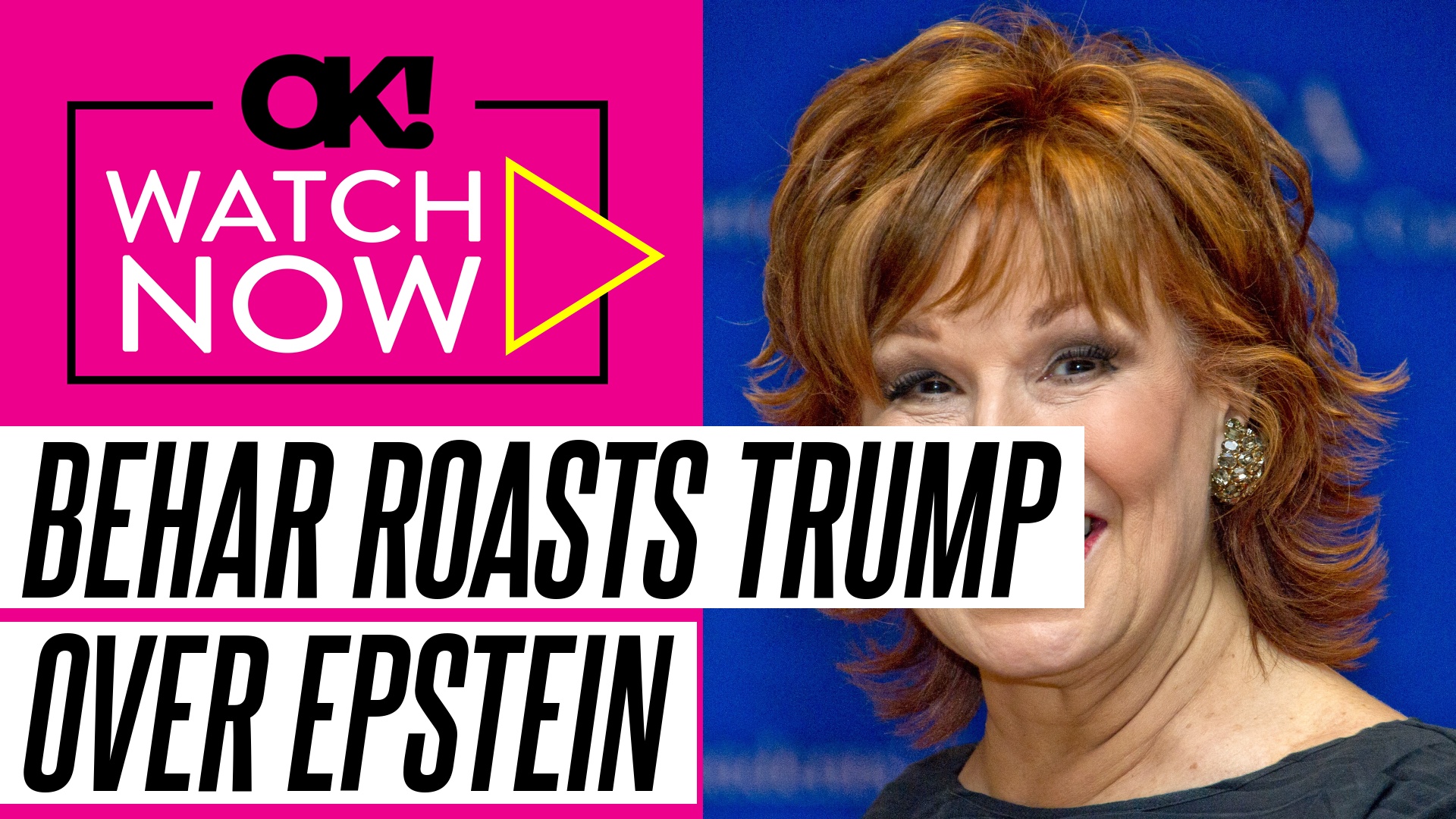 Joy Behar Jokes Donald Trump Will Lie and Say the 'Dog Ate My Homework ...