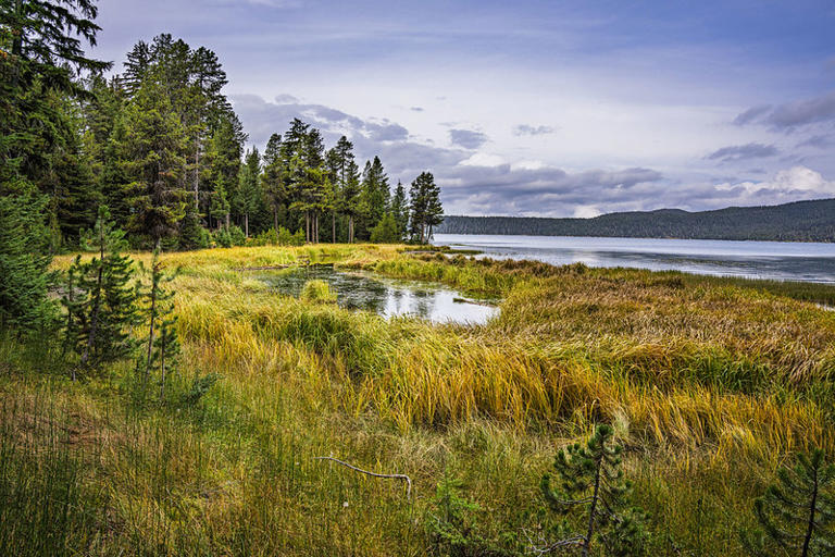 Kotek order ties resilient land to healthy local economies