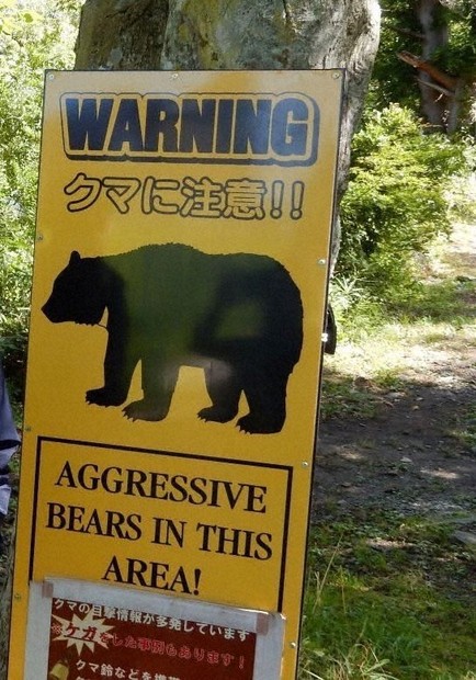 News in Easy English: Bears in Japan cause event cancellations and ...