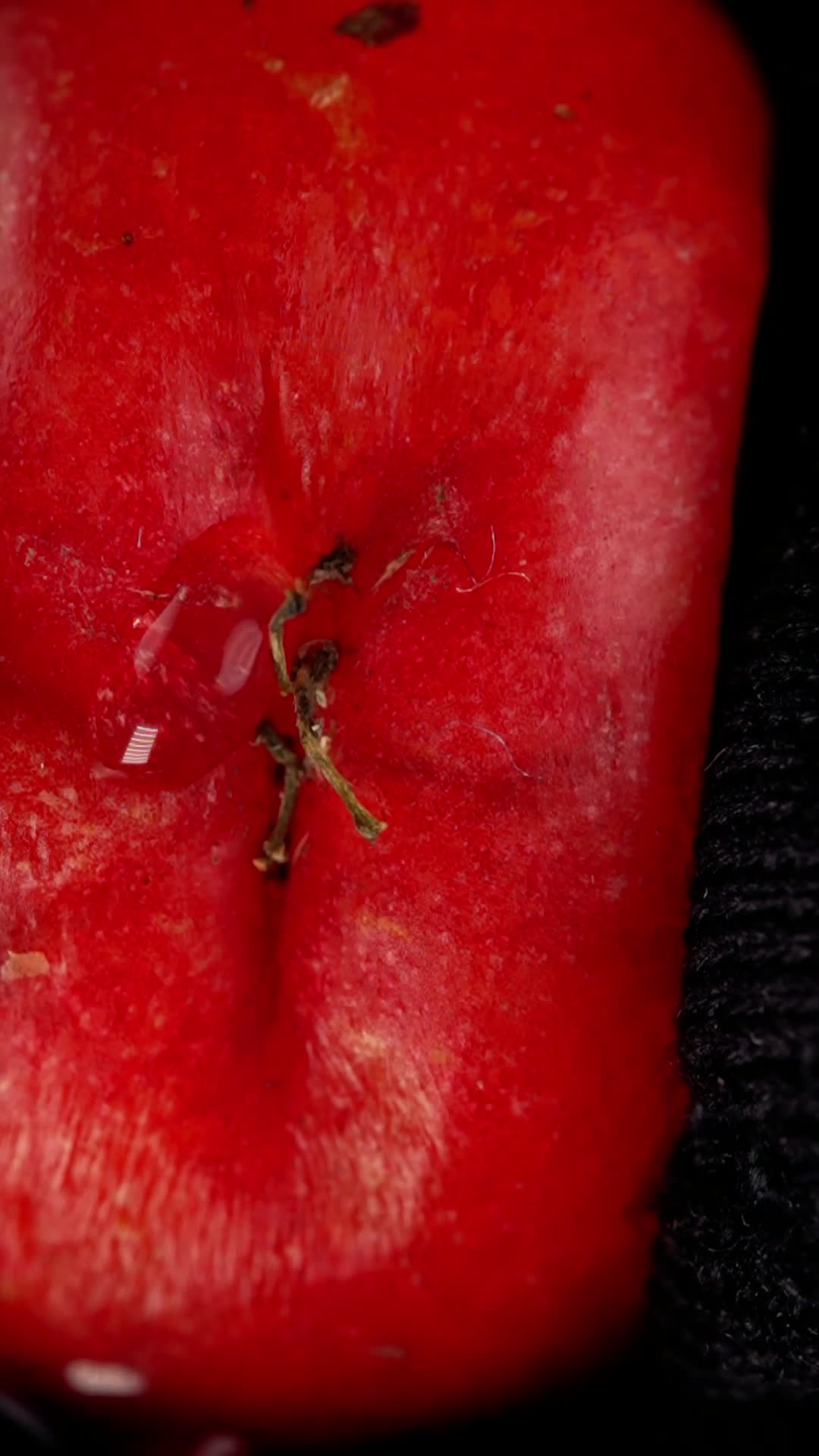 ASMR random fruit in macro