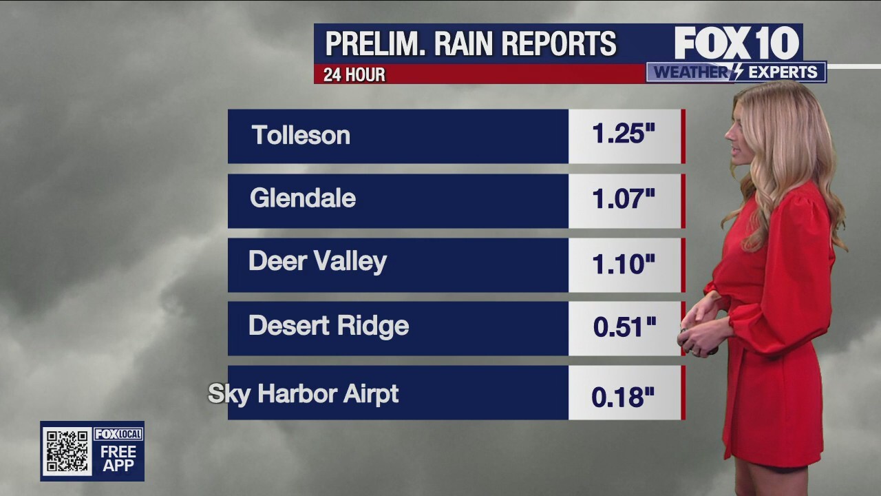 Preliminary rain totals Wednesday night in the Phoenix area