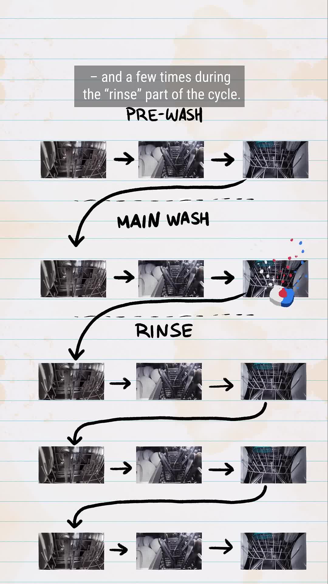 What actually happens inside a dishwasher?