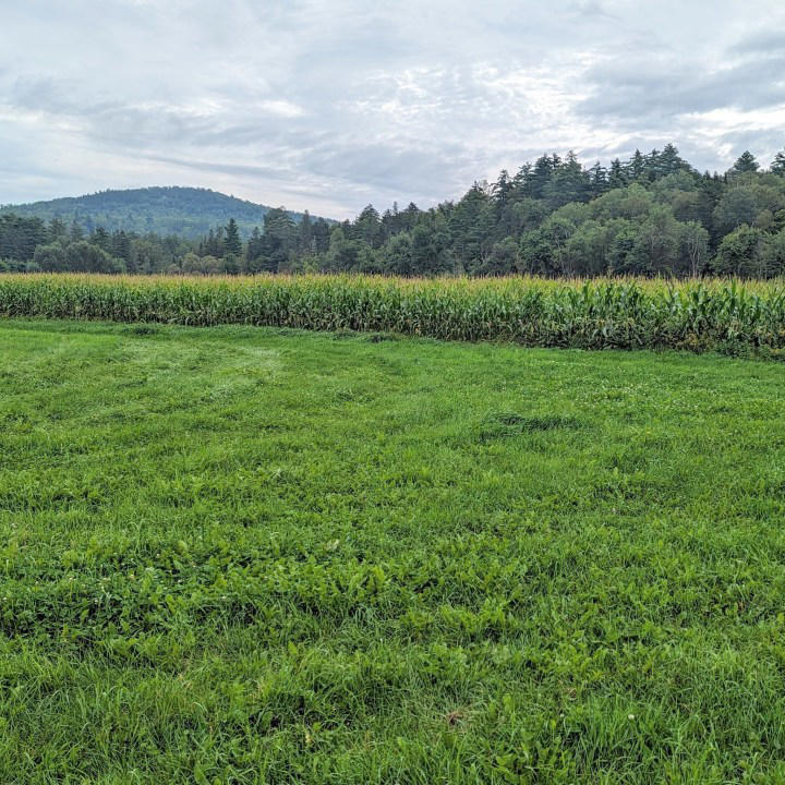 Land along Androscoggin River to be protected ‘forever’