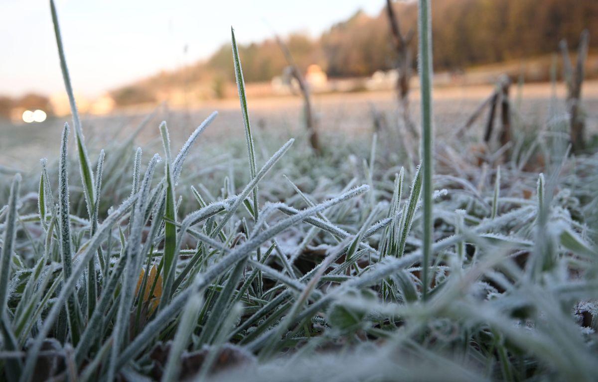 La France va-t-elle vivre « son hiver le plus violent » depuis quarante ...