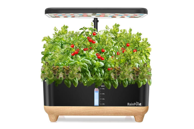 Amazon’s 2-Week Black Friday Sale Officially Started—Shop the 50 Best ...