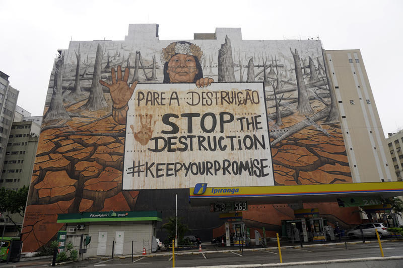 10 milliards pour déforester l'Amazonie : ce rapport qui accable quatre ...
