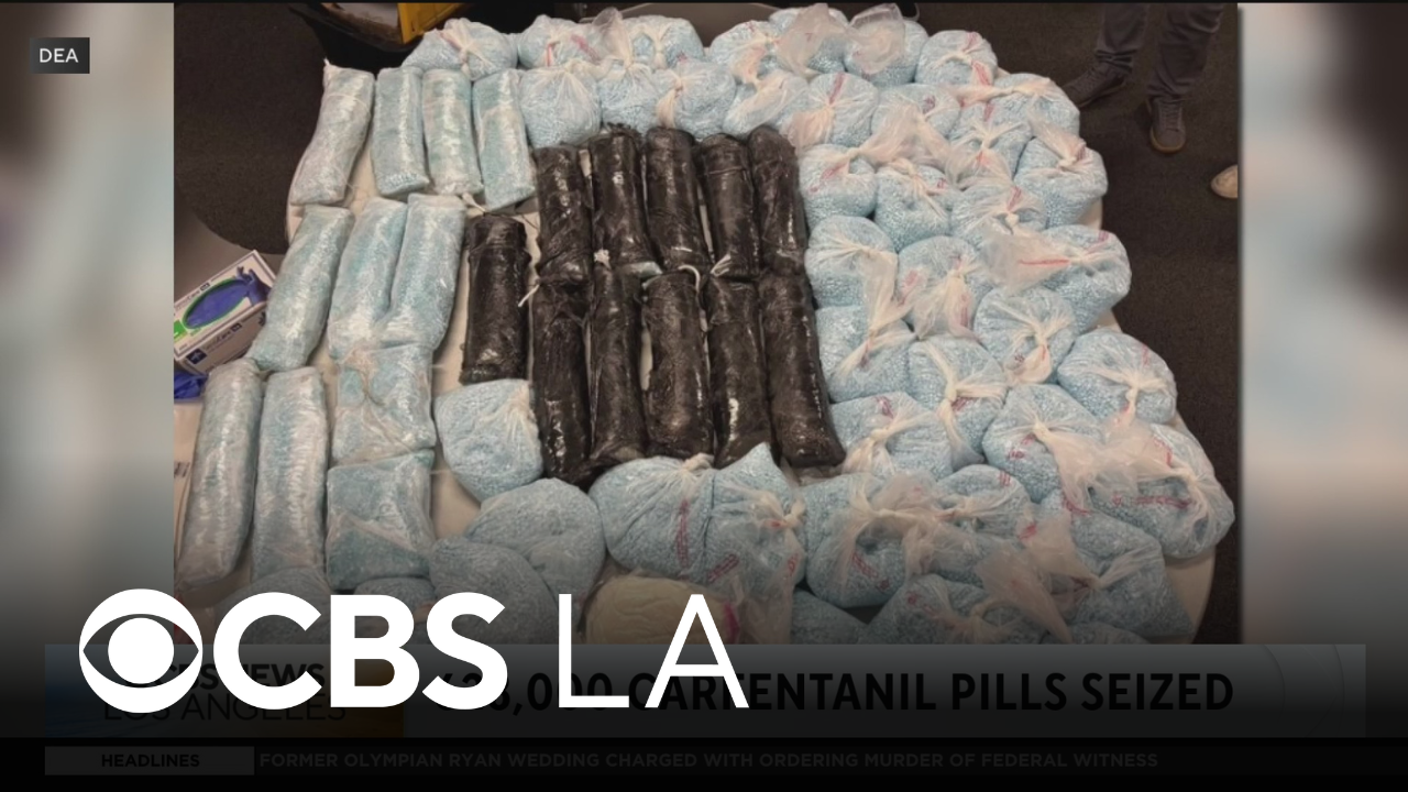 Opioid used to tranquilize elephants seized in LA County DEA operation