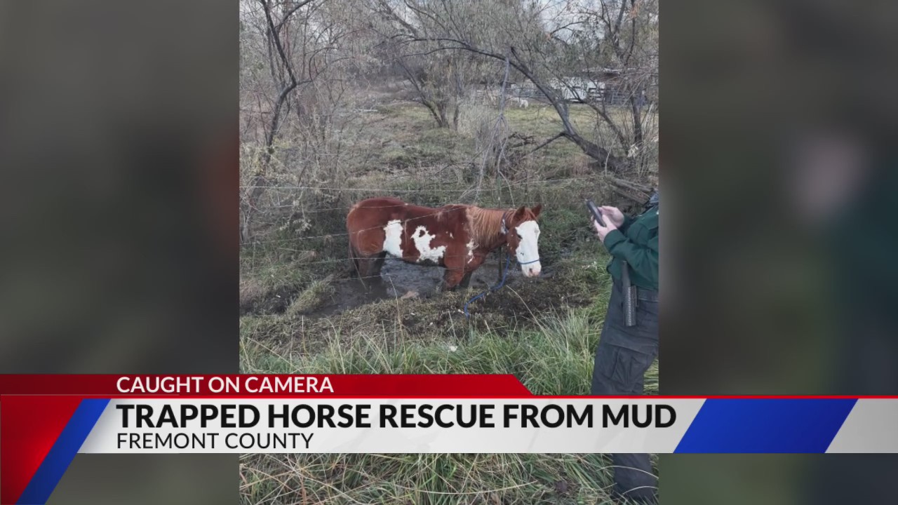 Horse rescued from chest-deep mud in Fremont County