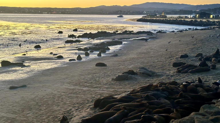 Another Bay Area storm moves in, bringing beach hazard conditions