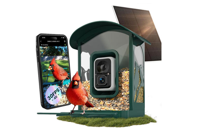 Amazon’s 2-Week Black Friday Sale Officially Started—Shop the 50 Best ...