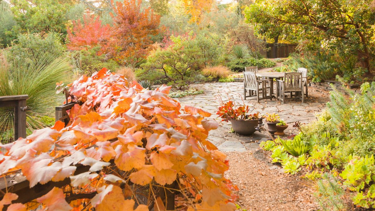 I’m a pro gardener, and here are 7 late fall garden jobs you shouldn’t skip