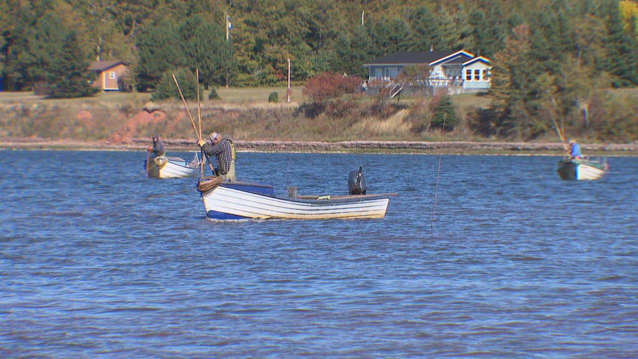P.E.I. offers oyster fishers retraining subsidies, but many want to ...