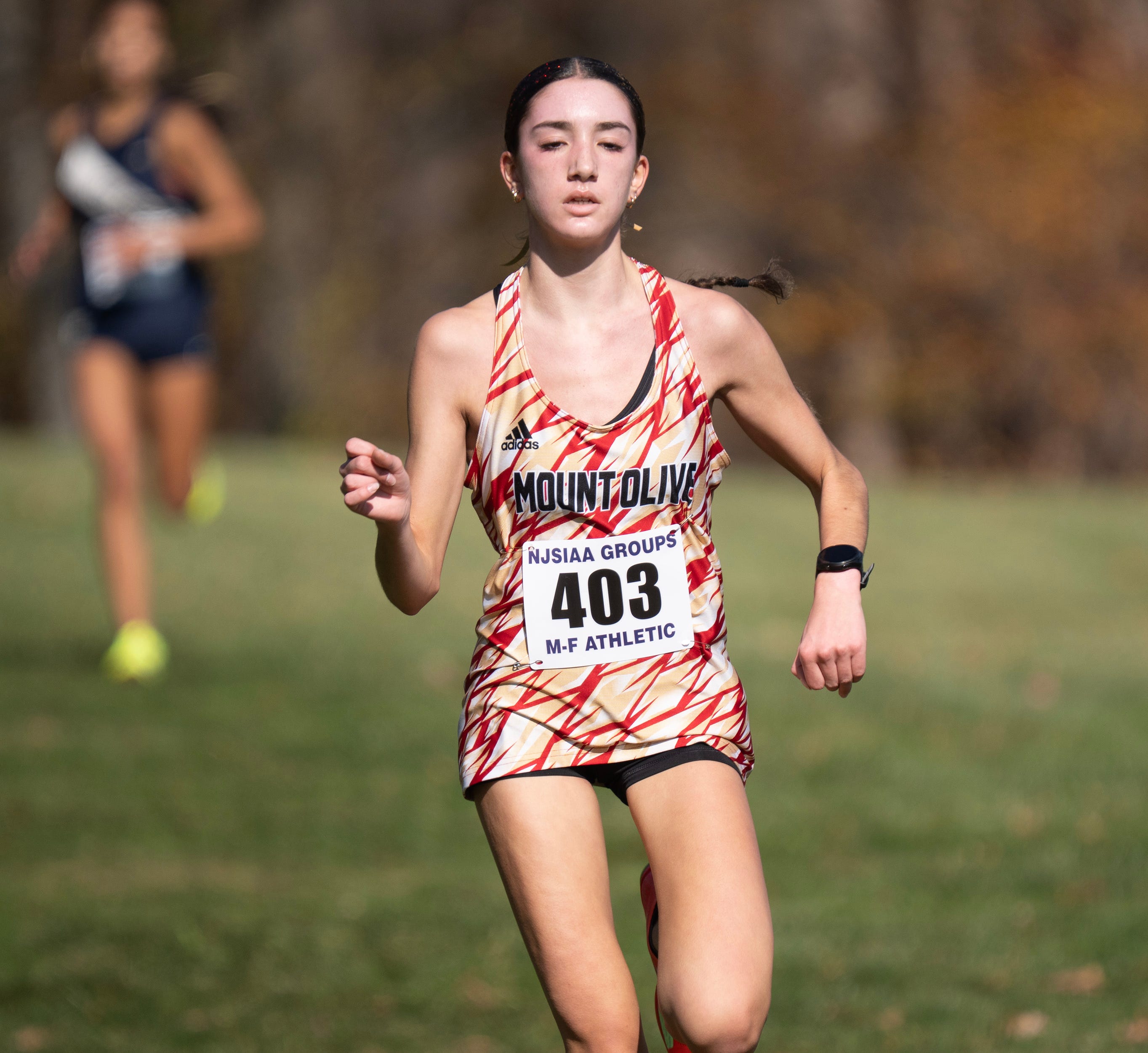 2025 Northwest Jersey Athletic Conference cross country postseason honors