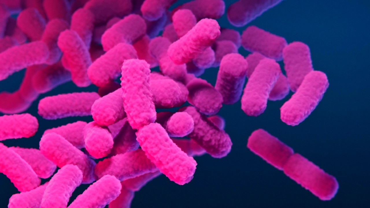India emerges as global hotspot of antibiotic resistance, 8 in 10 carry ...