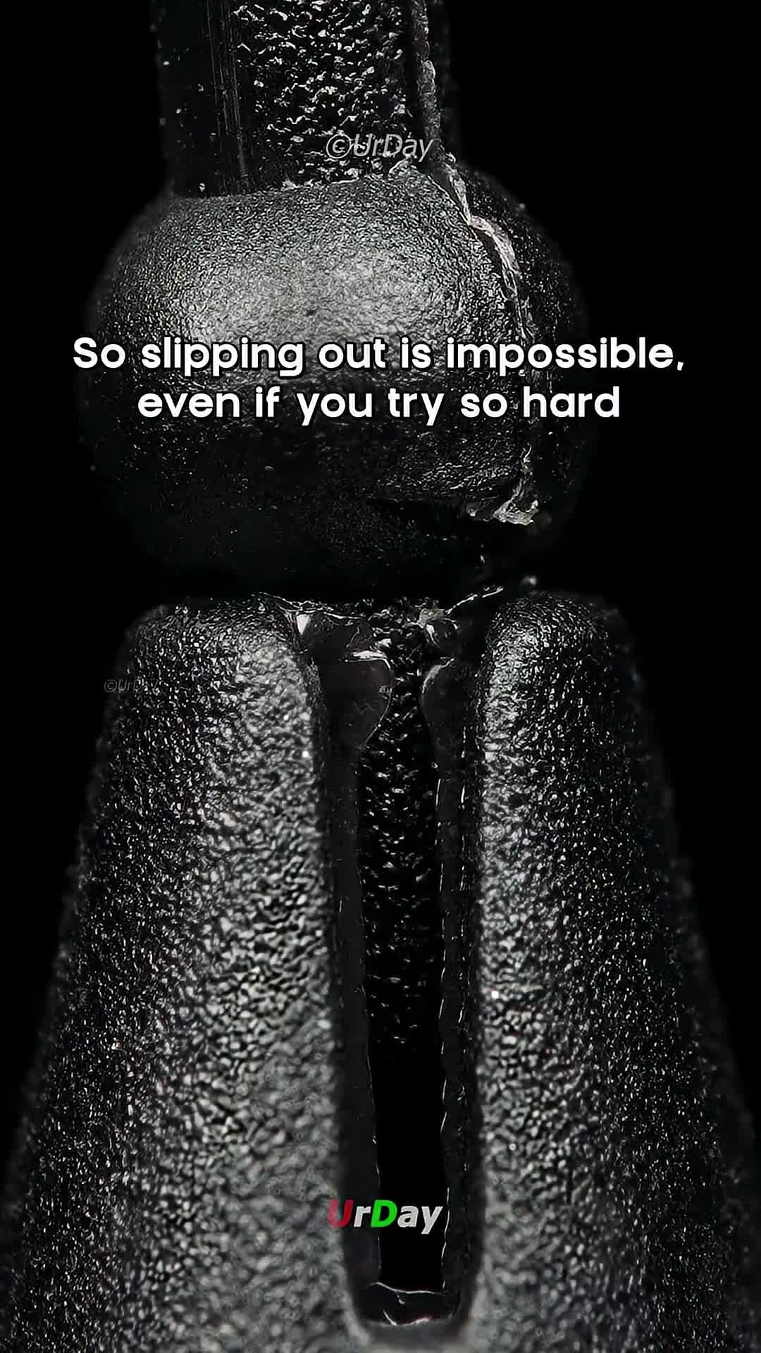 New way to remove a clothes tag without scissor #urday