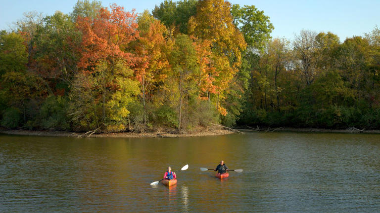 "Ohio: Wild at Heart" brings the Buckeye State to the big screen