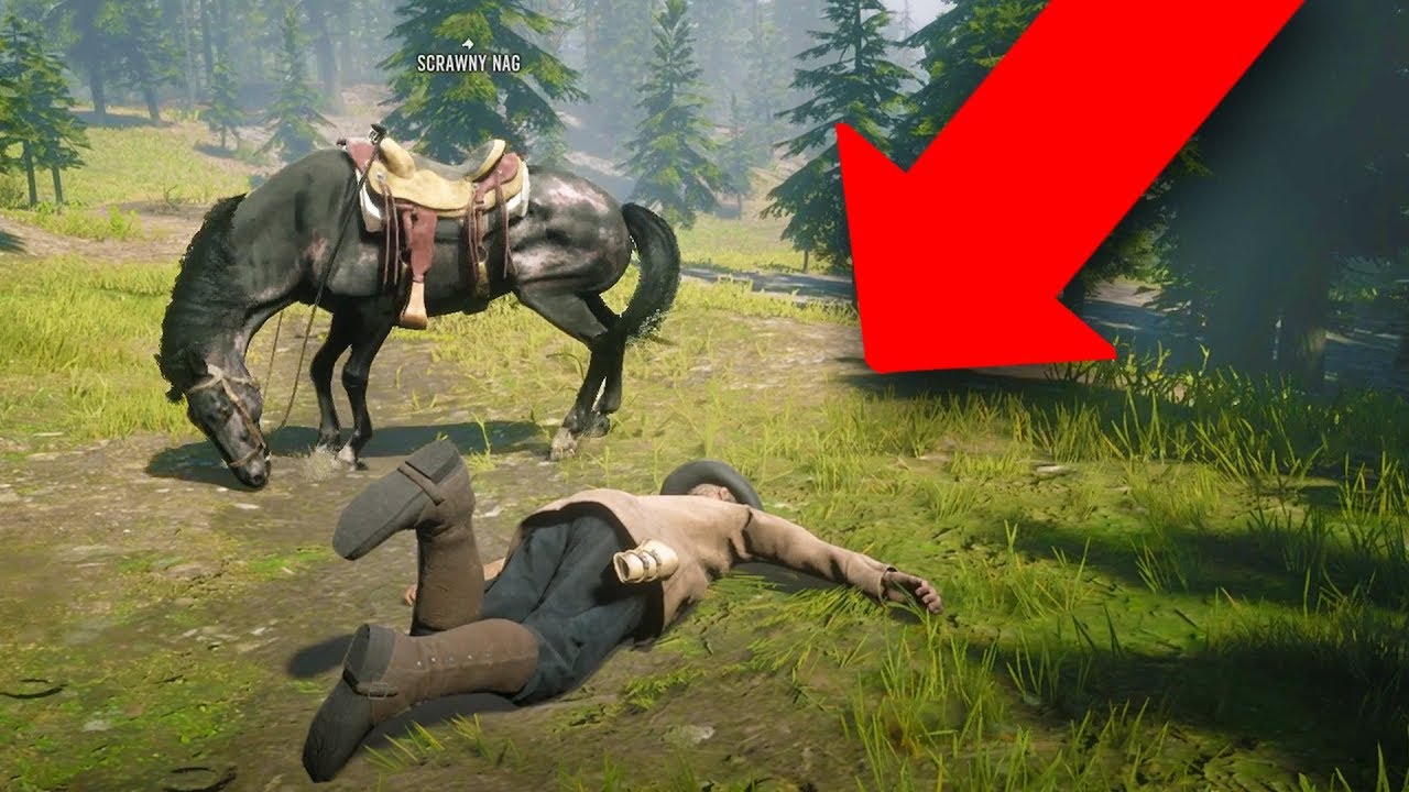 This will make your horse hate you! Hilarious! | Red Dead Redemption 2 ...